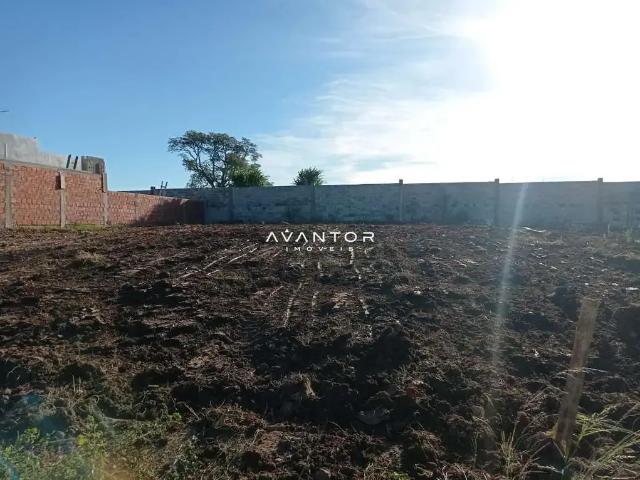 Terreno / Lote para Venda em Santa Maria/RS Pinheiro Machado