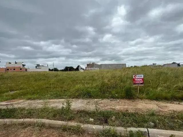 Terreno / Lote para Venda em Santa Maria/RS Pinheiro Machado