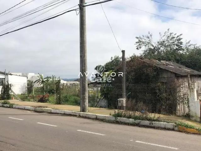 Terreno / Lote para Venda em Santa Maria/RS Pinheiro Machado