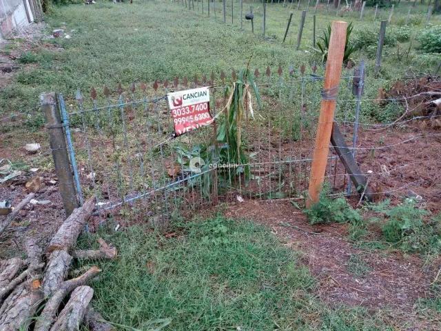Terreno / Lote para Venda em Santa Maria/RS Pinheiro Machado