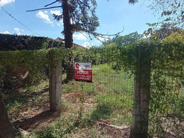 Terreno / Lote para Venda em Santa Maria/RS Pinheiro Machado