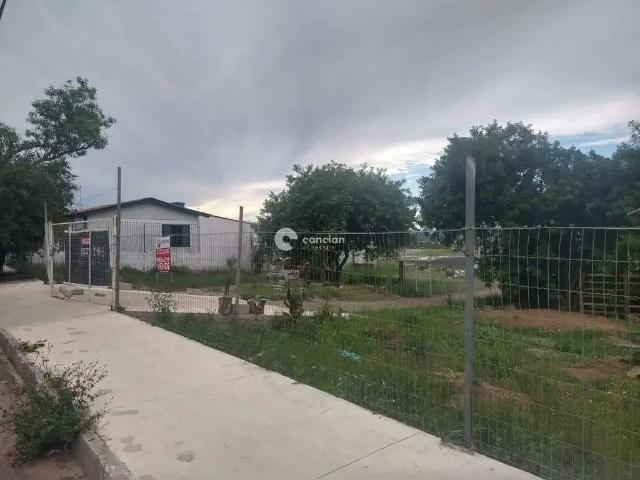 Terreno / Lote para Venda em Santa Maria/RS Pinheiro Machado