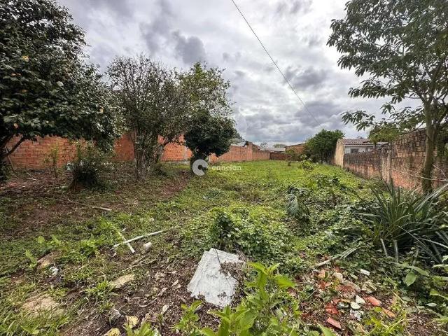 Terreno / Lote para Venda em Santa Maria/RS Pinheiro Machado