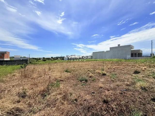Terreno / Lote para Venda em Santa Maria/RS Pinheiro Machado