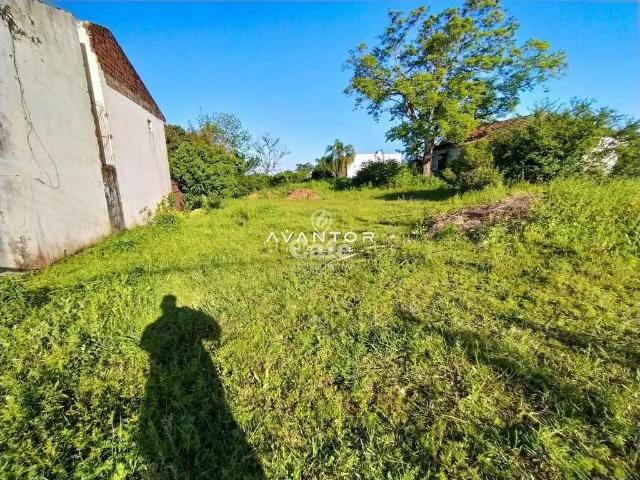 Terreno / Lote para Venda em Santa Maria/RS Pinheiro Machado