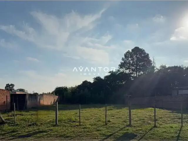 Terreno / Lote para Venda em Santa Maria/RS Pinheiro Machado