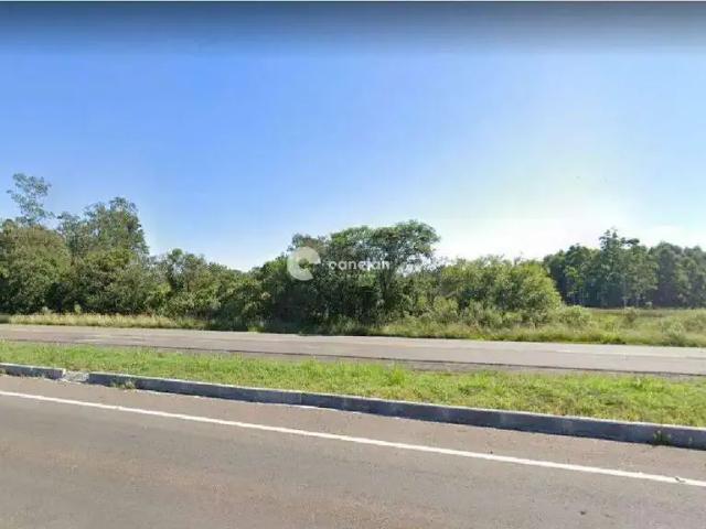 Terreno / Lote para Venda em Santa Maria/RS Pinheiro Machado