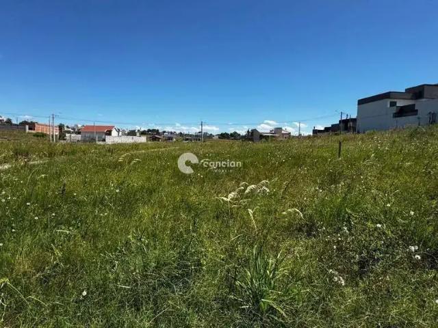 Terreno / Lote para Venda em Santa Maria/RS Pinheiro Machado
