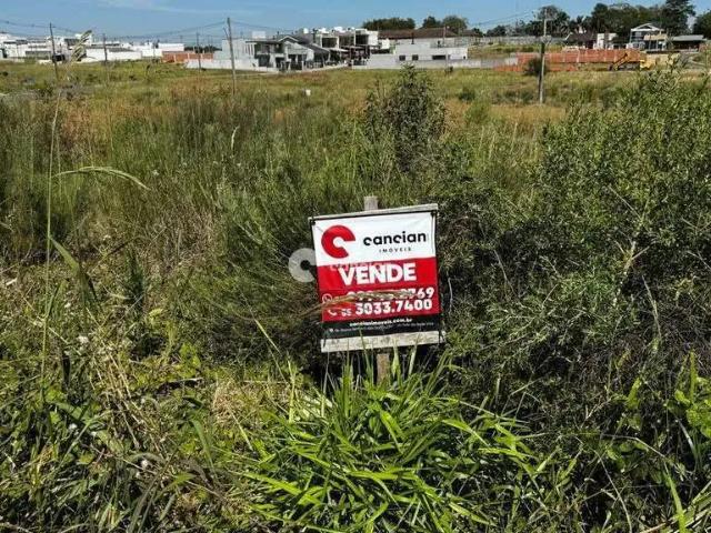 Terreno / Lote para Venda em Santa Maria/RS Pinheiro Machado