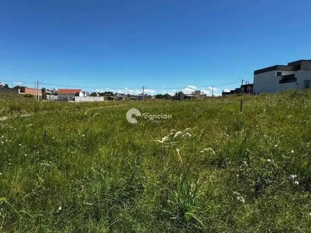Terreno / Lote para Venda em Santa Maria/RS Pinheiro Machado