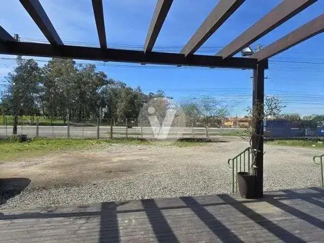 Terreno / Lote para Venda em Santa Maria/RS Pinheiro Machado