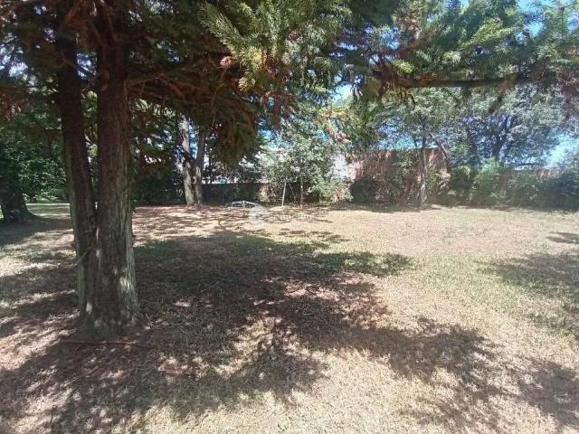Terreno / Lote para Venda em Santa Maria/RS Pinheiro Machado
