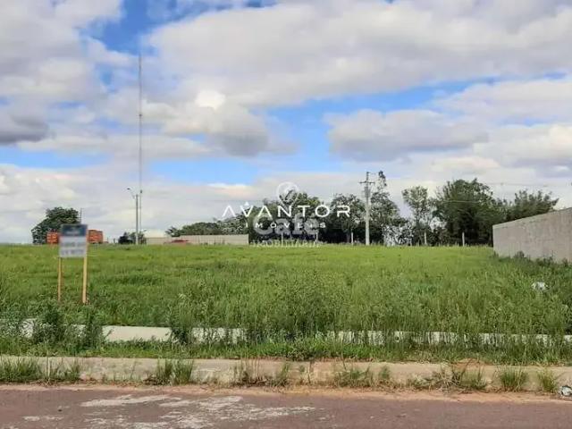 Terreno / Lote para Venda em Santa Maria/RS Pinheiro Machado