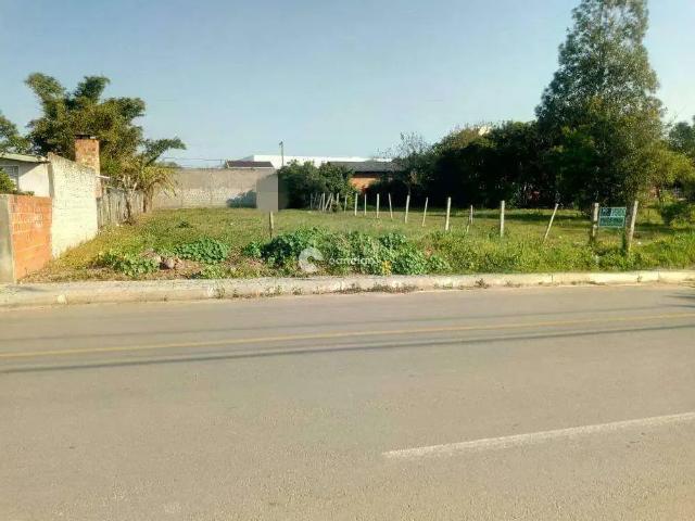 Terreno / Lote para Venda em Santa Maria/RS Pinheiro Machado