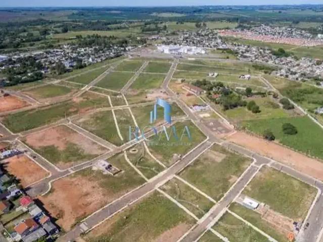Terreno / Lote para Venda em Santa Maria/RS Pinheiro Machado