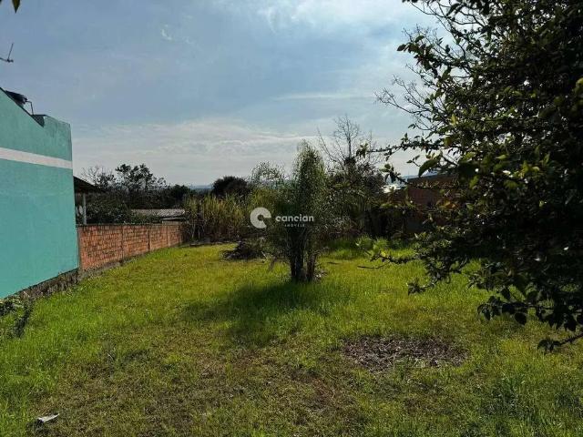 Terreno / Lote para Venda em Santa Maria/RS Pinheiro Machado
