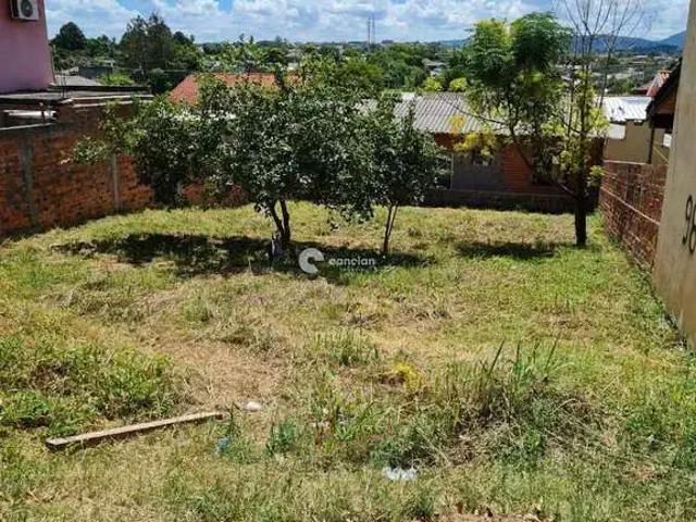 Terreno / Lote para Venda em Santa Maria/RS Pinheiro Machado