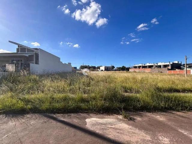 Terreno / Lote para Venda em Santa Maria/RS Pinheiro Machado