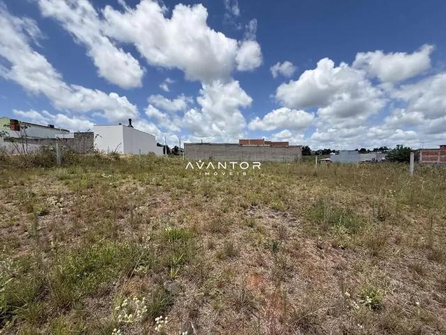 Terreno / Lote para Venda em Santa Maria/RS Pinheiro Machado