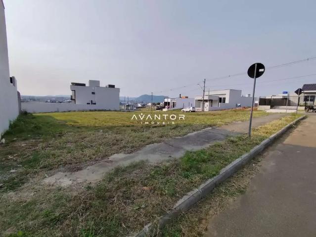 Terreno / Lote para Venda em Santa Maria/RS Pinheiro Machado