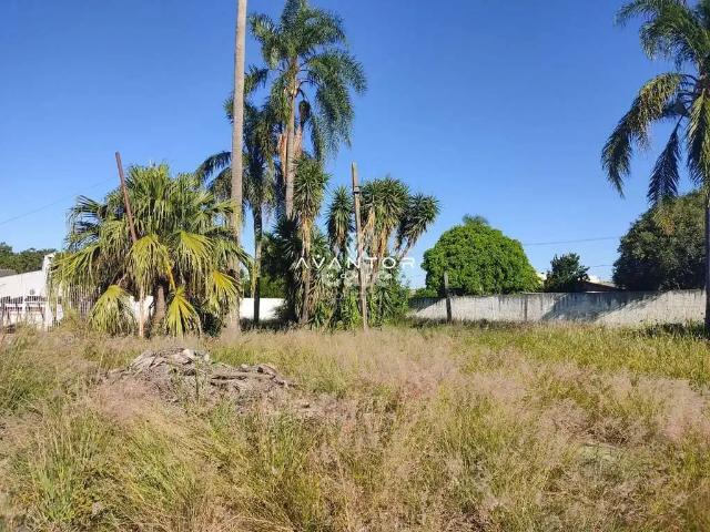 Terreno / Lote para Venda em Santa Maria/RS Pinheiro Machado