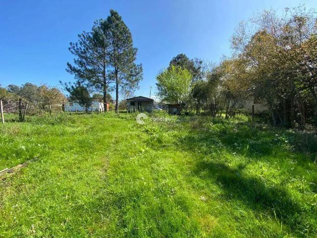 Terreno / Lote para Venda em Santa Maria/RS Pinheiro Machado