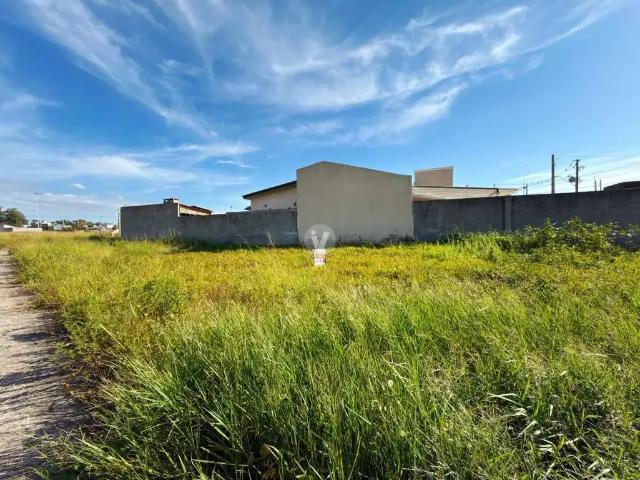 Terreno / Lote para Venda em Santa Maria/RS Pinheiro Machado