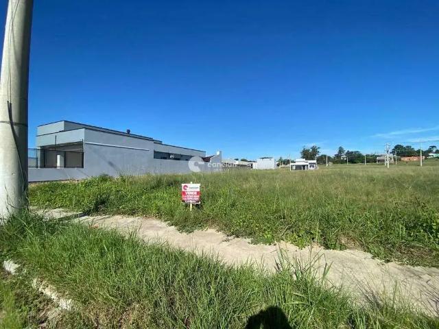 Terreno / Lote para Venda em Santa Maria/RS Pinheiro Machado