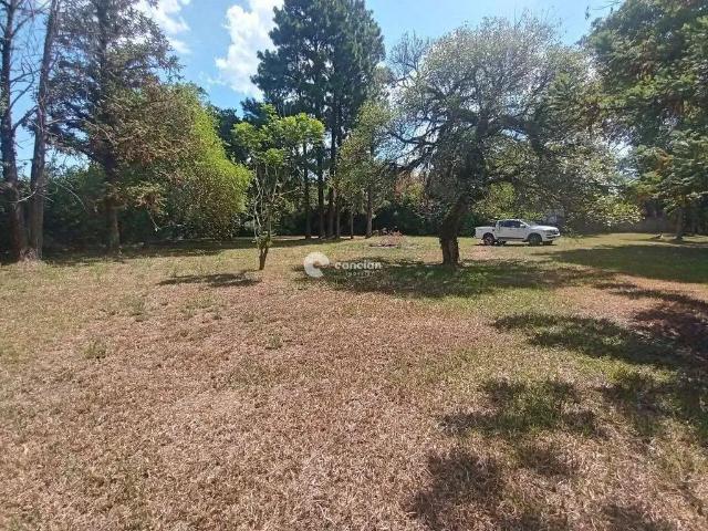 Terreno / Lote para Venda em Santa Maria/RS Pinheiro Machado
