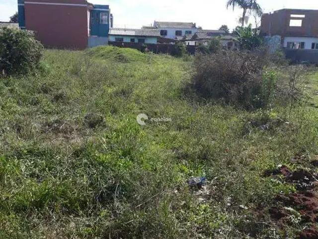 Terreno / Lote para Venda em Santa Maria/RS Pinheiro Machado