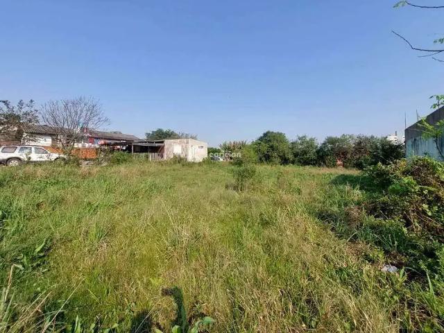 Terreno / Lote para Venda em Santa Maria/RS Pinheiro Machado