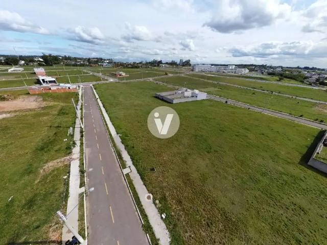 Terreno / Lote para Venda em Santa Maria/RS Pinheiro Machado