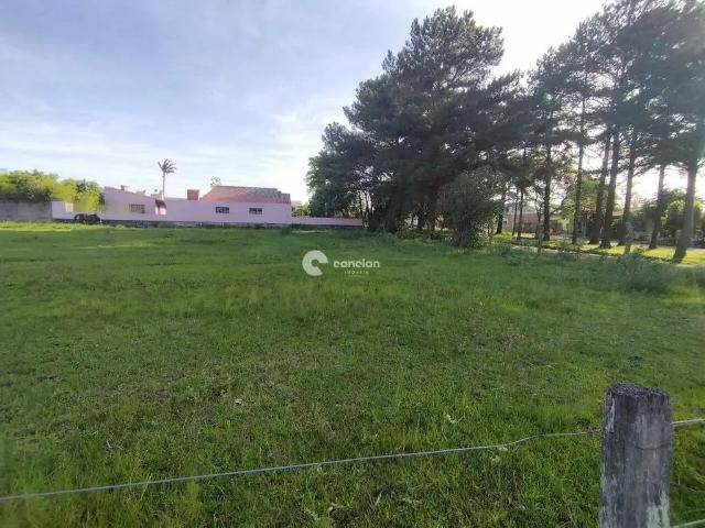 Terreno / Lote para Venda em Santa Maria/RS Pinheiro Machado
