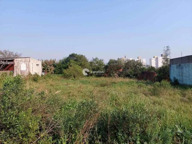 Terreno / Lote para Venda em Santa Maria/RS Pinheiro Machado