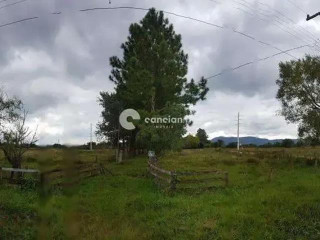 Terreno / Lote para Venda em Santa Maria/RS Renascença