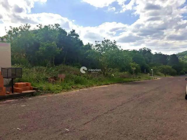 Terreno / Lote para Venda em Santa Maria/RS São José