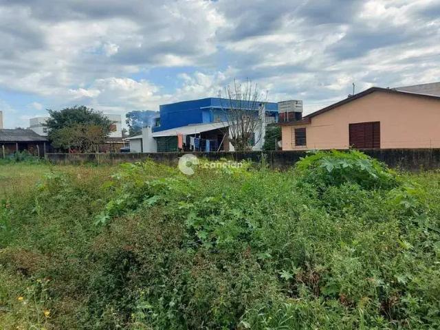 Terreno / Lote para Venda em Santa Maria/RS São José