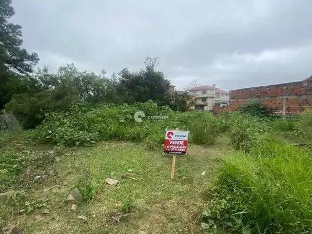 Terreno / Lote para Venda em Santa Maria/RS São José