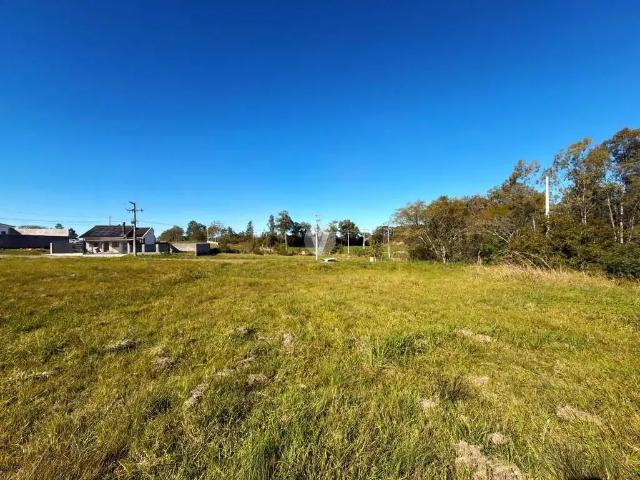 Terreno / Lote para Venda em Santa Maria/RS Tomazetti