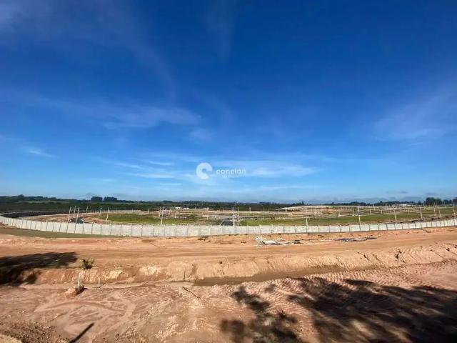 Terreno / Lote para Venda em Santa Maria/RS Tomazetti