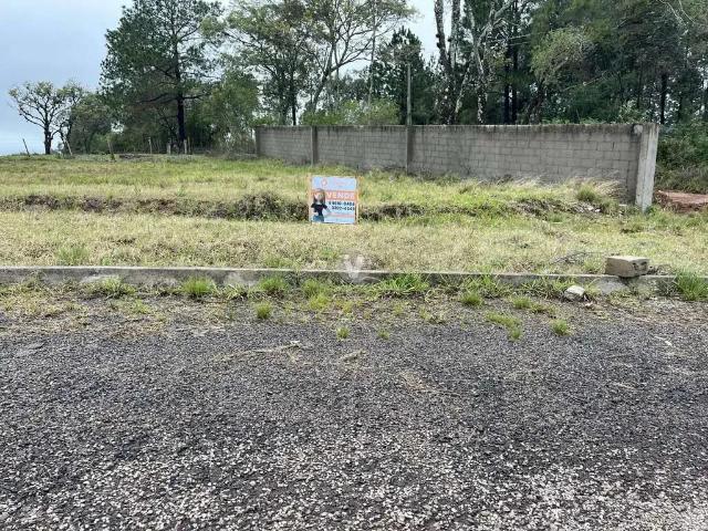 Terreno / Lote para Venda em Santa Maria/RS Tomazetti