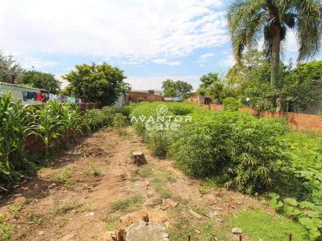 Terreno / Lote para Venda em Santa Maria/RS Tomazetti