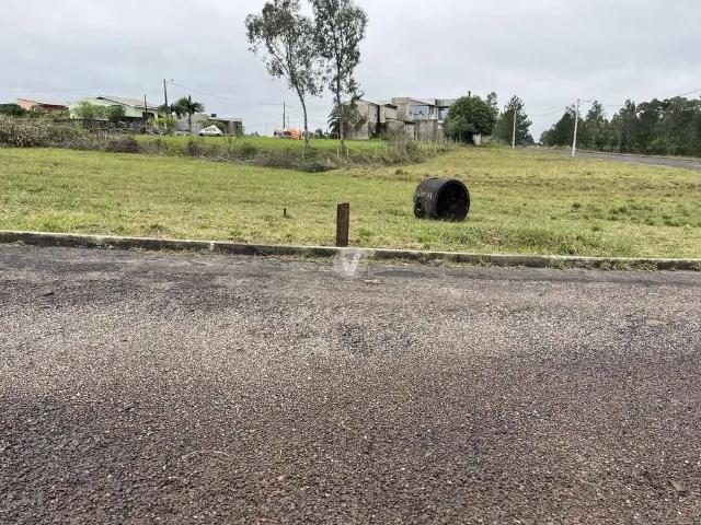 Terreno / Lote para Venda em Santa Maria/RS Tomazetti