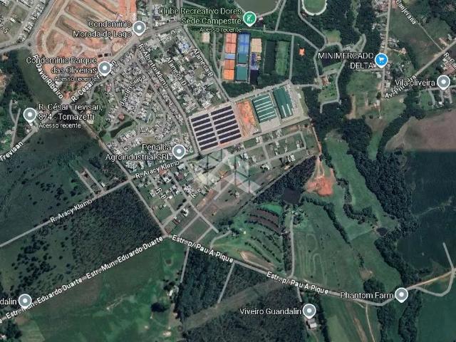 Terreno / Lote para Venda em Santa Maria/RS Tomazetti