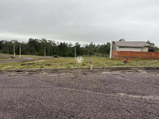 Terreno / Lote para Venda em Santa Maria/RS Tomazetti