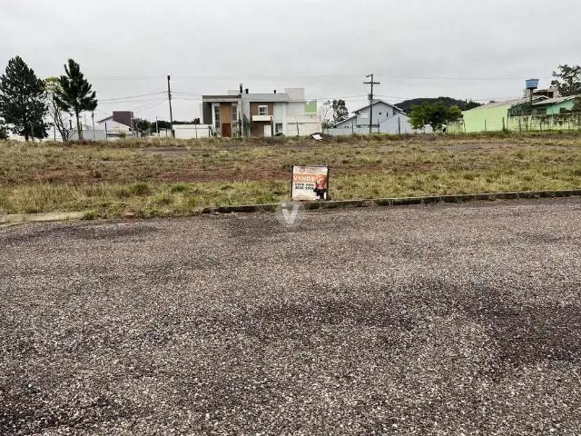 Terreno / Lote para Venda em Santa Maria/RS Tomazetti