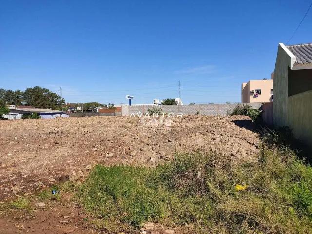 Terreno / Lote para Venda em Santa Maria/RS Tomazetti