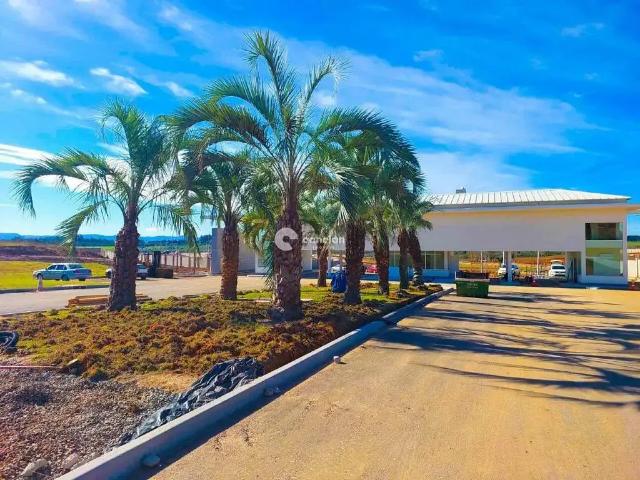 Terreno / Lote para Venda em Santa Maria/RS Tomazetti