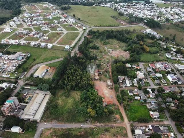 Terreno / Lote para Venda em Santa Maria/RS Tomazetti