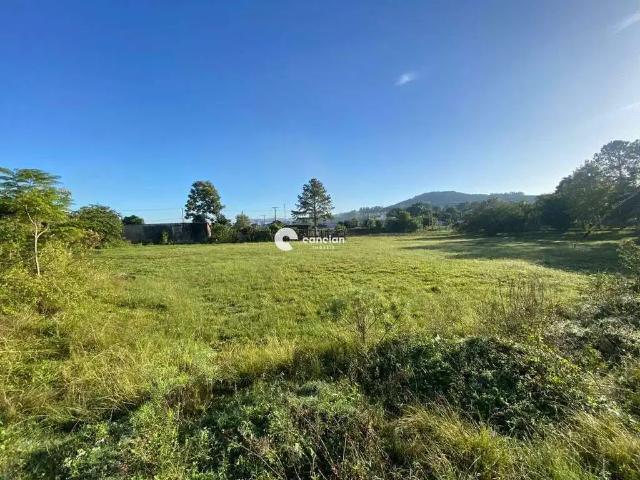 Terreno / Lote para Venda em Santa Maria/RS Tomazetti